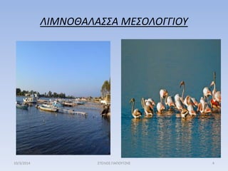 Γεωγραφια Στ- Η ΣΥΝΘΗΚΗ ΡΑΜΣΑΡ | PPT