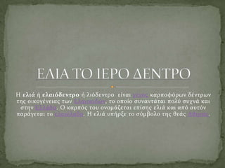 ελια το ιερο δεντρο | PPT