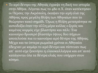 ελια το ιερο δεντρο | PPT