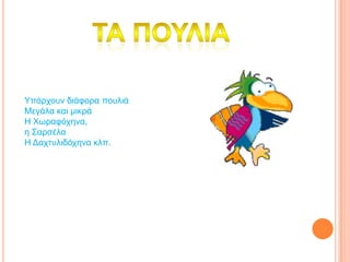 τα πουλιά | PPTX
