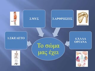το ανθρώπινο σώμα | PPTX
