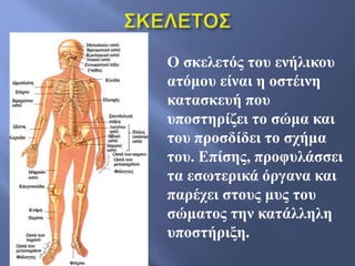 το ανθρώπινο σώμα | PPT