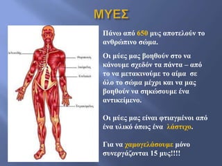 το ανθρώπινο σώμα | PPTX