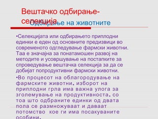 ива пецевска | PPT