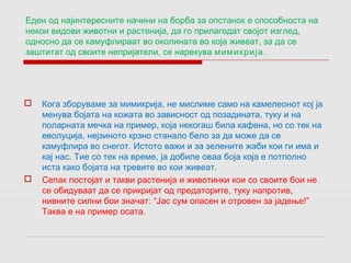 ива пецевска | PPT