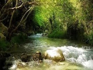 ανοιξη | PPT