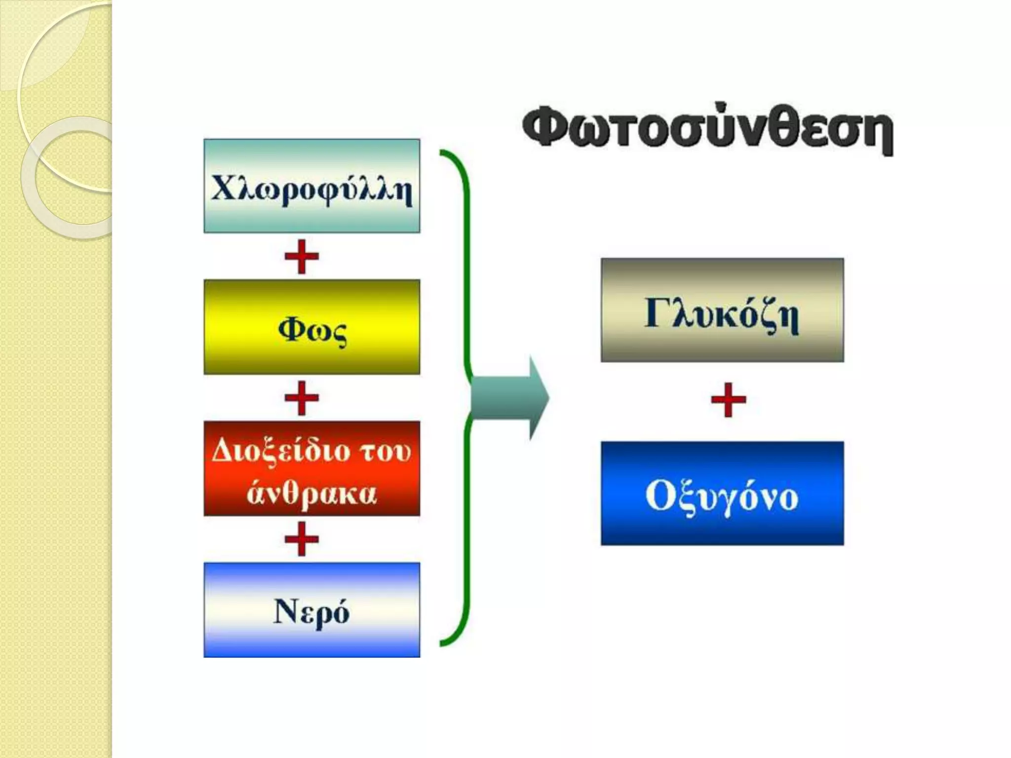 Τα μέρη του φυτού | PPTX