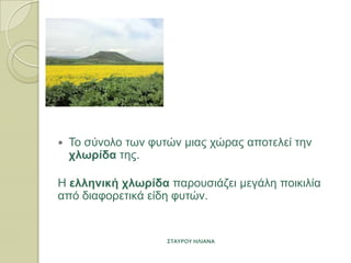 Φυτολόγιο1: Πόες | PPTX