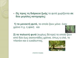 Φυτολόγιο1: Πόες | PPTX