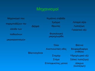 βασικες αρχες | PPT