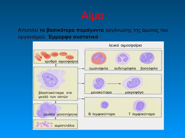 βασικες αρχες | PPT