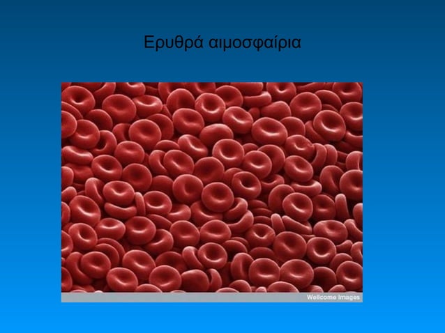 βασικες αρχες | PPT