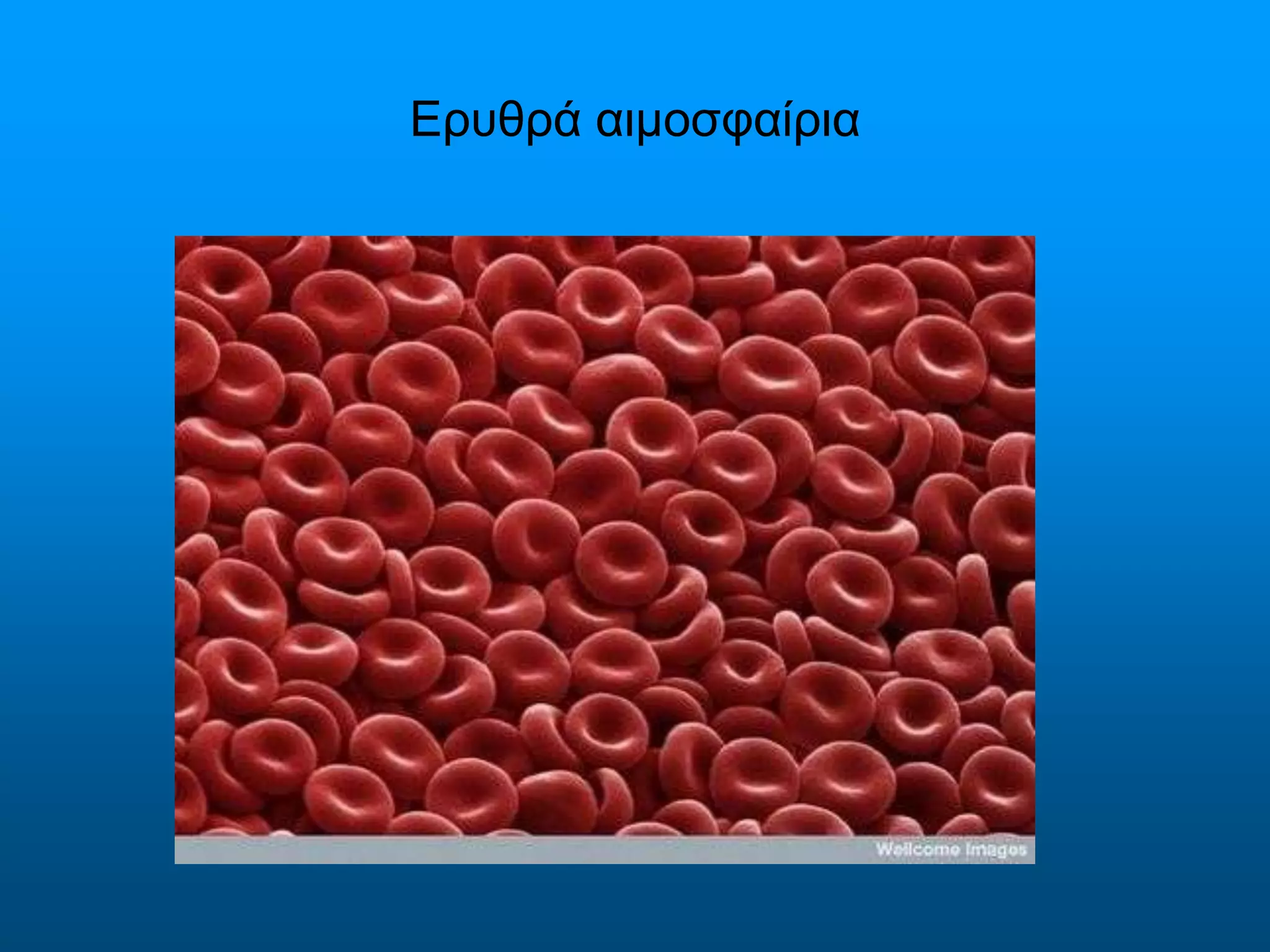 βασικες αρχες | PPT