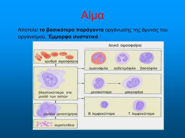 βασικες αρχες | PPT