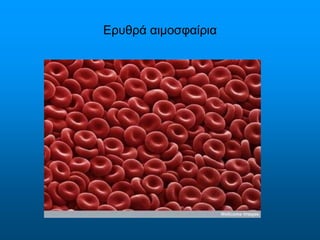 βασικες αρχες | PPT
