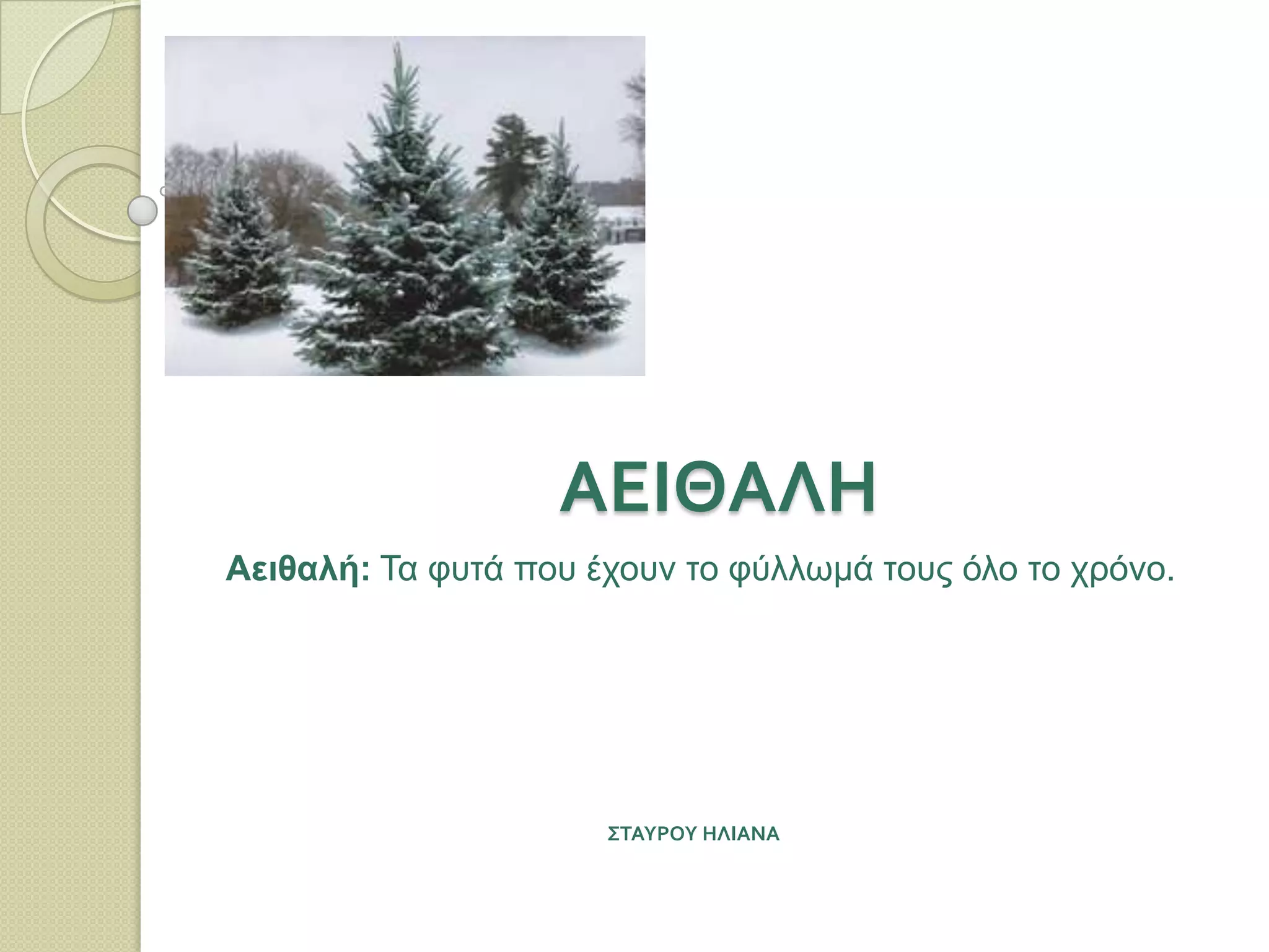 Φυτολόγιο 3: Δέντρα | PPTX