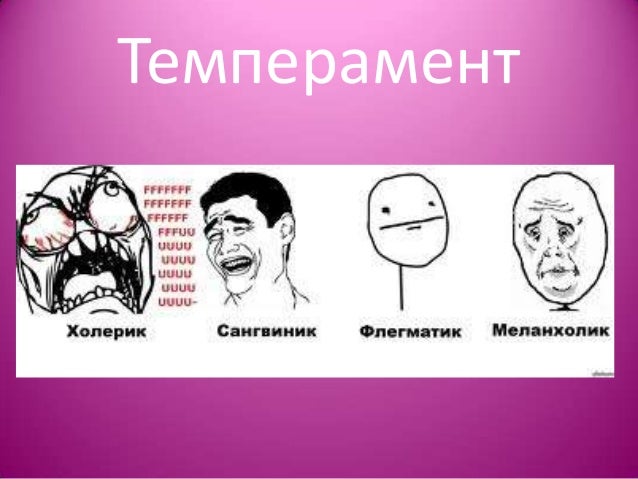 темперамент