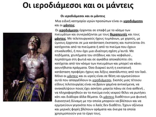 τα αφρικανικά θρησκευματα | PPTX