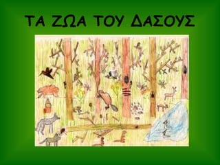 τα ζωα του δασους | PPT