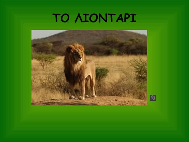 τα ζωα του δασους | PPT