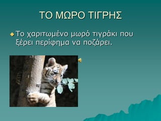 ζωα της ζουγκλας | PPT