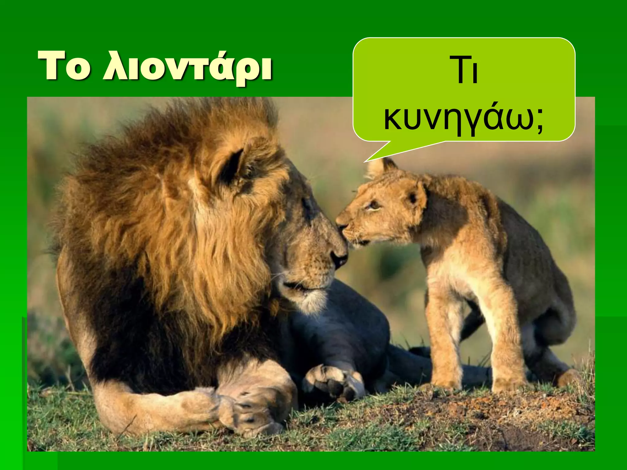 ζώα της ζούγκλας | PPT