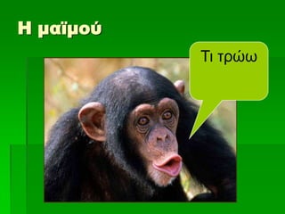 ζώα της ζούγκλας | PPT