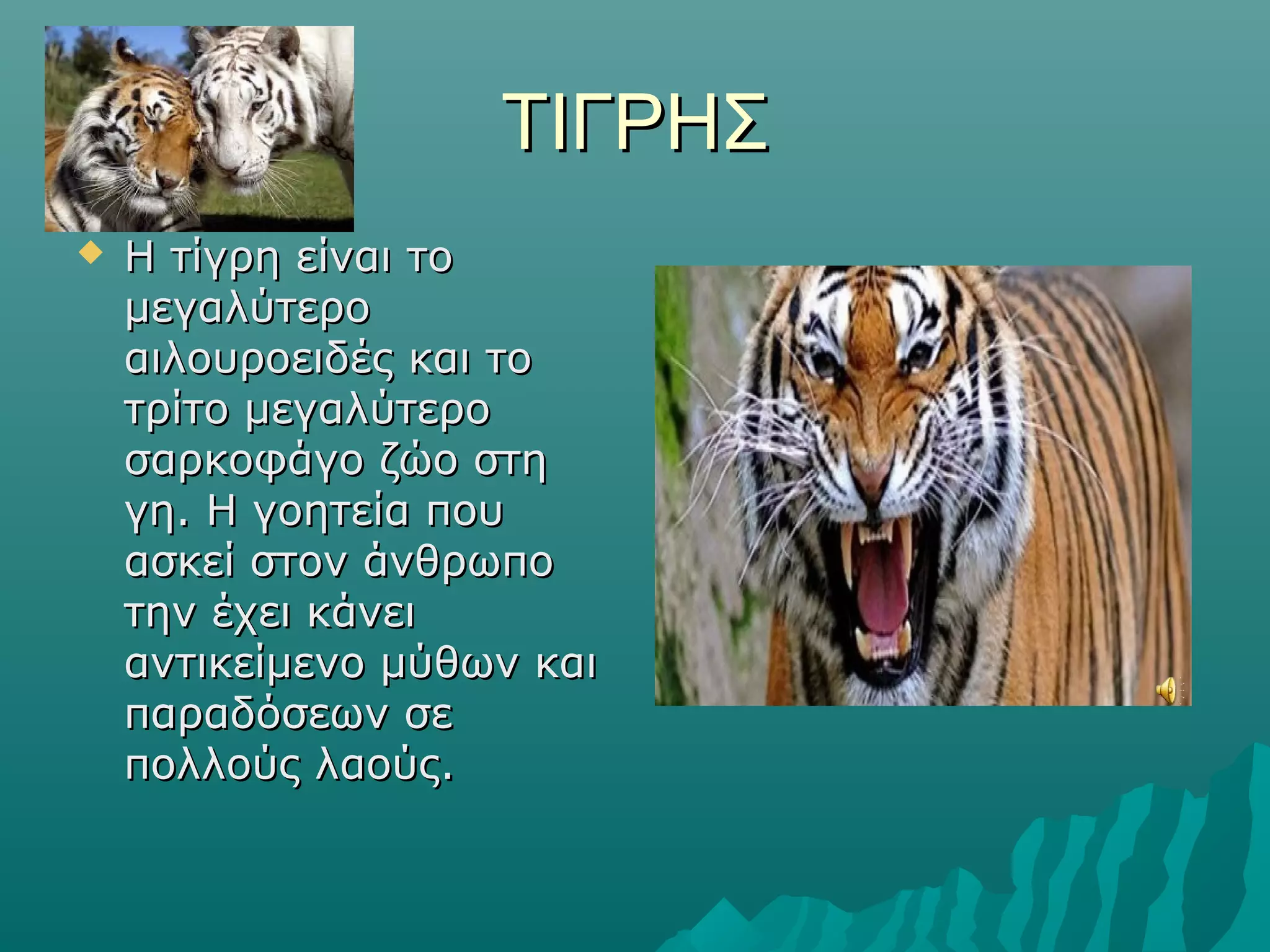 ζωα του δασους | PPT