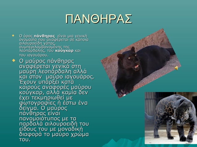 ζωα του δασους | PPT