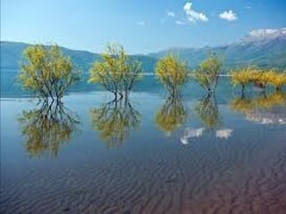 μικρη πρεσπα λιανου | PPT