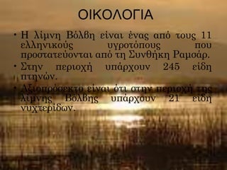 βολβη θεοδωρα-νικοσ-χριστινα | PPT