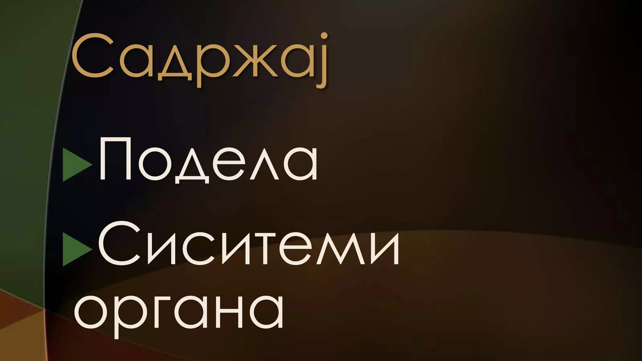 Sisari | PPTX
