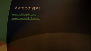 Sisari | PPT
