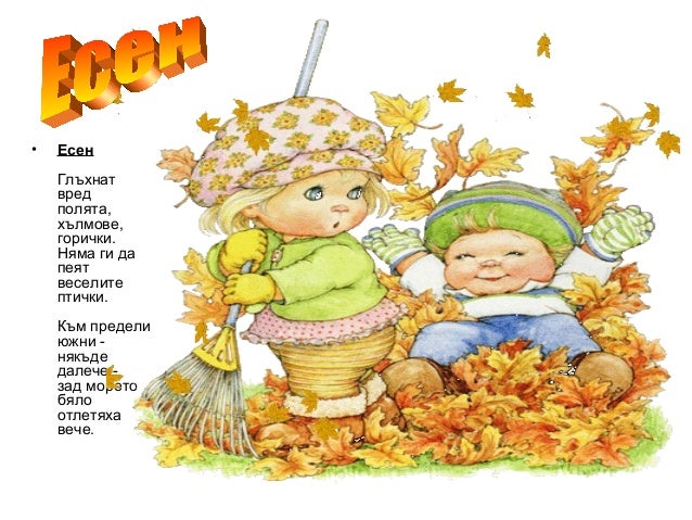 Сезони