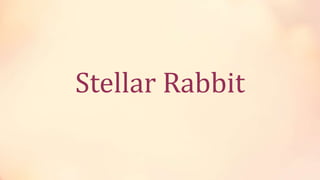 인디 소프트웨어 개발기 | PPT