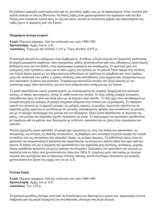 ξενάγηση στο μουσείο | DOC