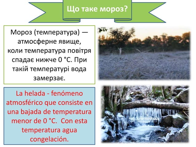 Чому на морозі у людини червоніють щоки вуха ніс Pptx