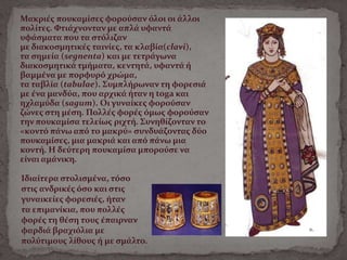 Βυζαντινή ενδυμασία και μαγειρική,Μαρίνου- Μάρκου | PPTX