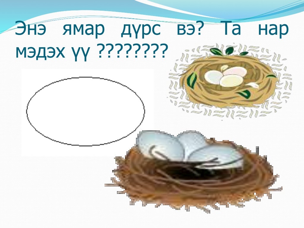 хичээл тахиа