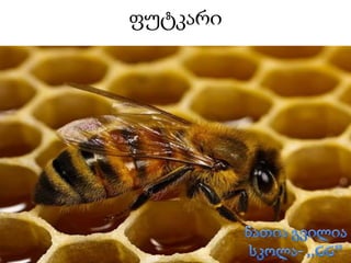 ფუტკარი | PPTX