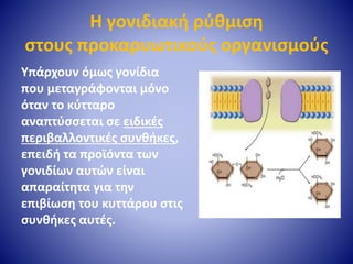 γονιδιακη ρυθμιση | PPTX