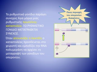 γονιδιακη ρυθμιση | PPTX