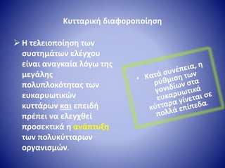 γονιδιακη ρυθμιση | PPTX