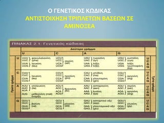 ο γεν.κωδικας ειναι η αντιστοιχηση | PPTX