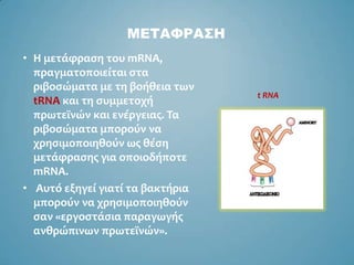 ο γεν.κωδικας ειναι η αντιστοιχηση | PPTX