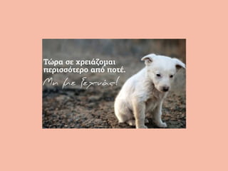 αδέσποτα ζώα | PPT