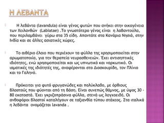 η ιστορια της λεβαντας | PPT