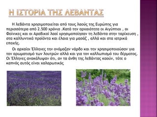 η ιστορια της λεβαντας | PPT