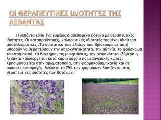 η ιστορια της λεβαντας | PPT