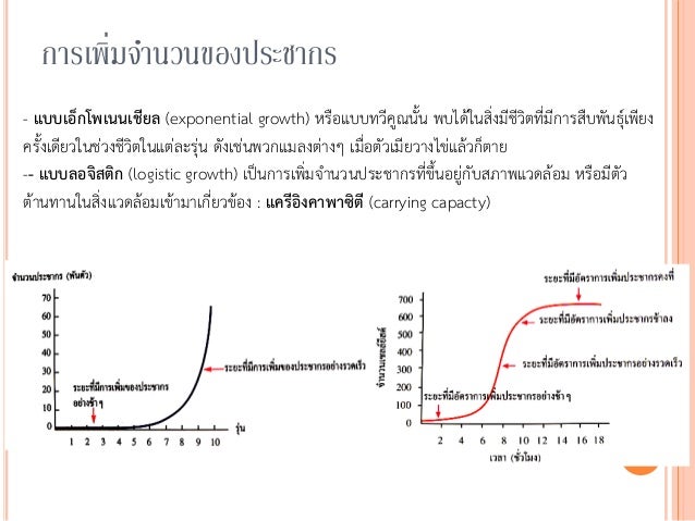 ม.6 นิเวศ